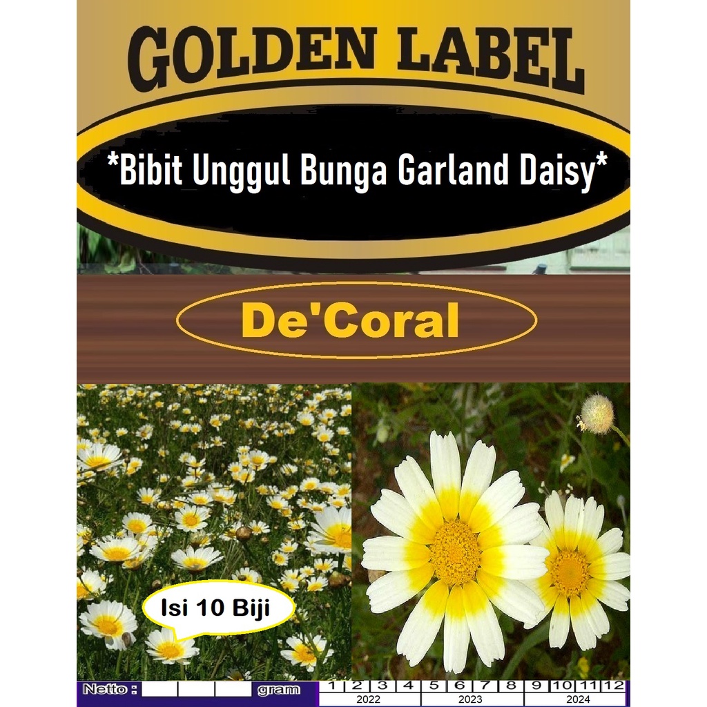Jual Bibit Unggul Bunga Garland Daisy|Benih Bunga Garland Daisy|Bunga ...