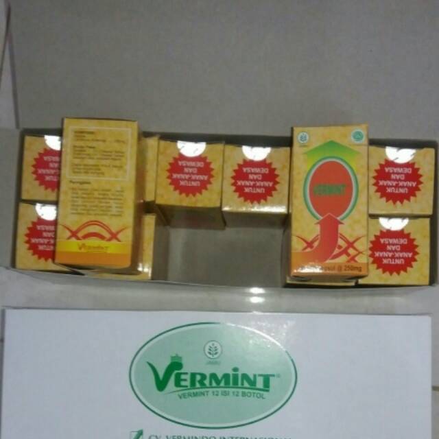 Jual Vermint/ Vermin isi 12 kapsul obat typus | Shopee Indonesia