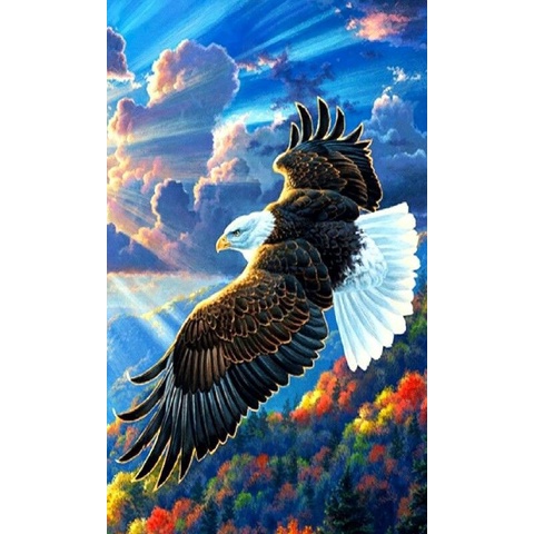Jual hiasan dinding burung elang plus bingkai uk 65 x45 | Shopee Indonesia