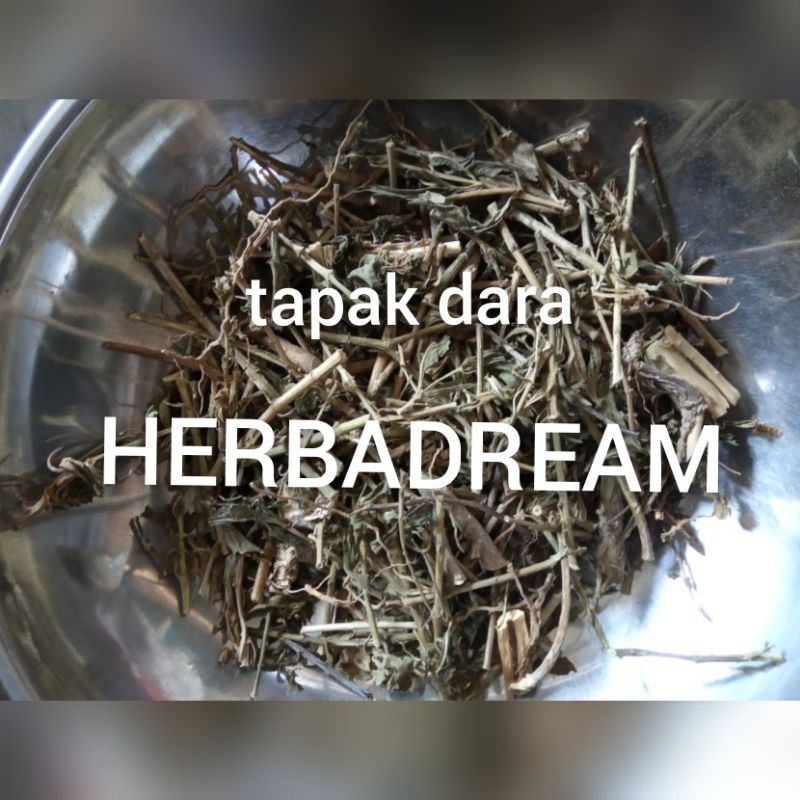 Jual 100 GRAM TAPAK DARA TLAPAK TELAPAK DORO ROSE PERIWINKLE CHANG CHUN ...