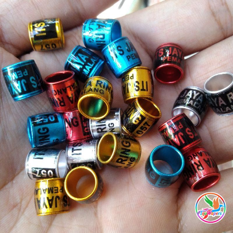 Jual RING MERPATI CUSTOM NAMA RING MERPATI REQUEST NAMA SENDIRI ...