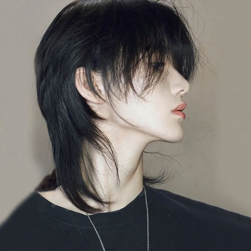 Jual Serigala Ekor Wig Pria Rambut Pendek Versi Korea Tampan Net Merah ...