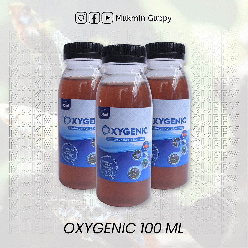 Jual Oxygenic 100ml (Probiotic Bacteri Stater) | Shopee Indonesia