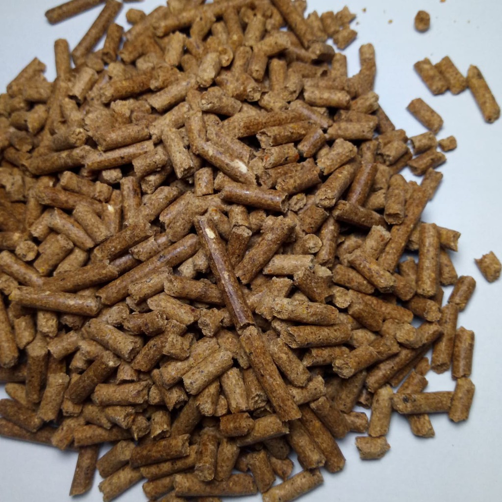 Jual Pakan kuda - Royal Horse S100 Repack (bisa untuk kelinci) | Shopee ...