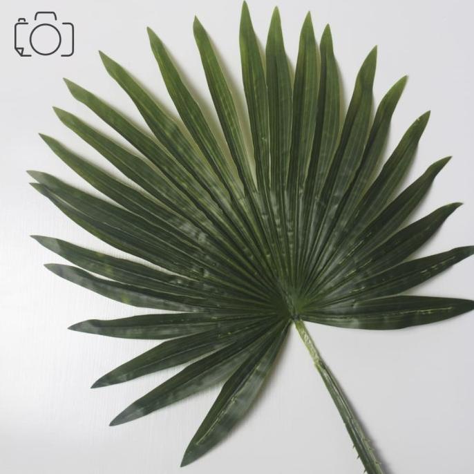 Jual Daun Palem Besar / Daun Palsu / Artificial Leaf / Properti Foto ...