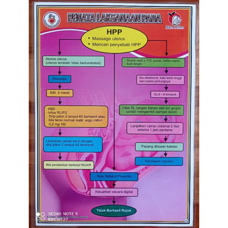 Jual (21) POSTER PENATALAKSANAAN PADA HPP | Shopee Indonesia