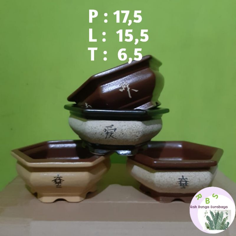 Jual Pot Bonsai Keramik Segi Enam Variasi | Shopee Indonesia