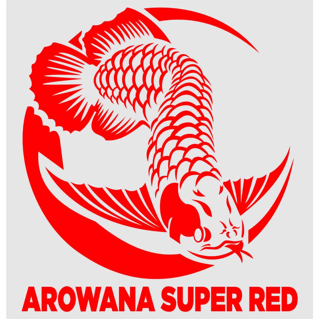 Jual STICKER AROWANA SUPER RED STICKER CUTTING | Shopee Indonesia