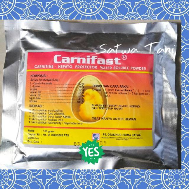 Jual Carnifast 100 gram (carnitine -hepato protector) | Shopee Indonesia