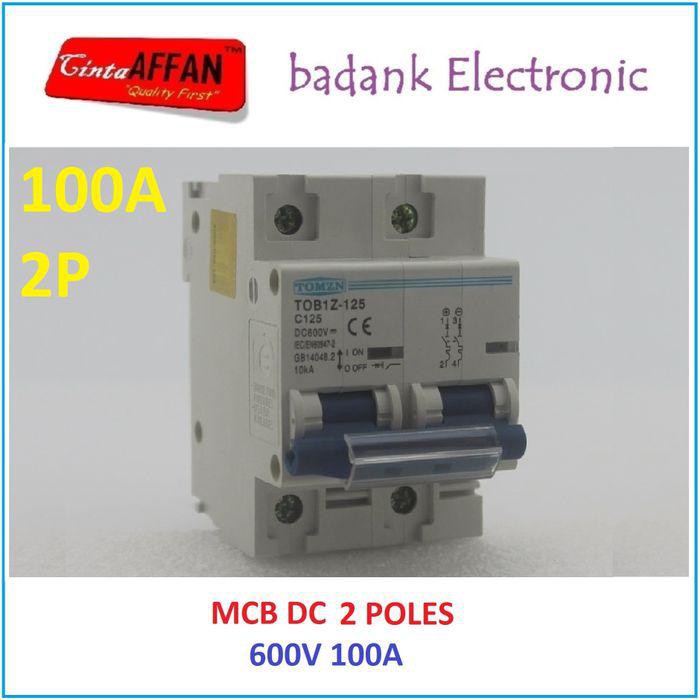 Jual Mcb Dc C125 100A 600V 2P Circuit Breaker Solar Pv Panel Surya Plts ...