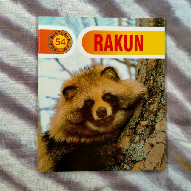 Jual Buku Pengetahuan Buku Sains Anak Bergambar: Rakun | Shopee Indonesia
