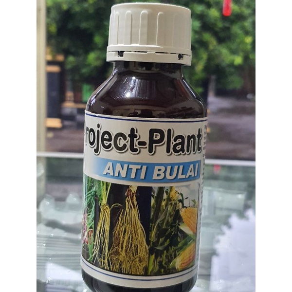 Jual PROJECT-PLANT anti bulay 500ml | Shopee Indonesia