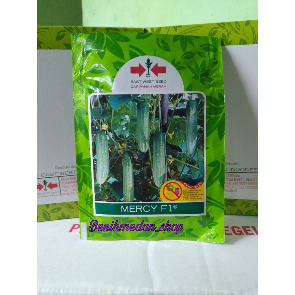 Jual Benih Timun Mercy F1 isi 800 butir | Shopee Indonesia