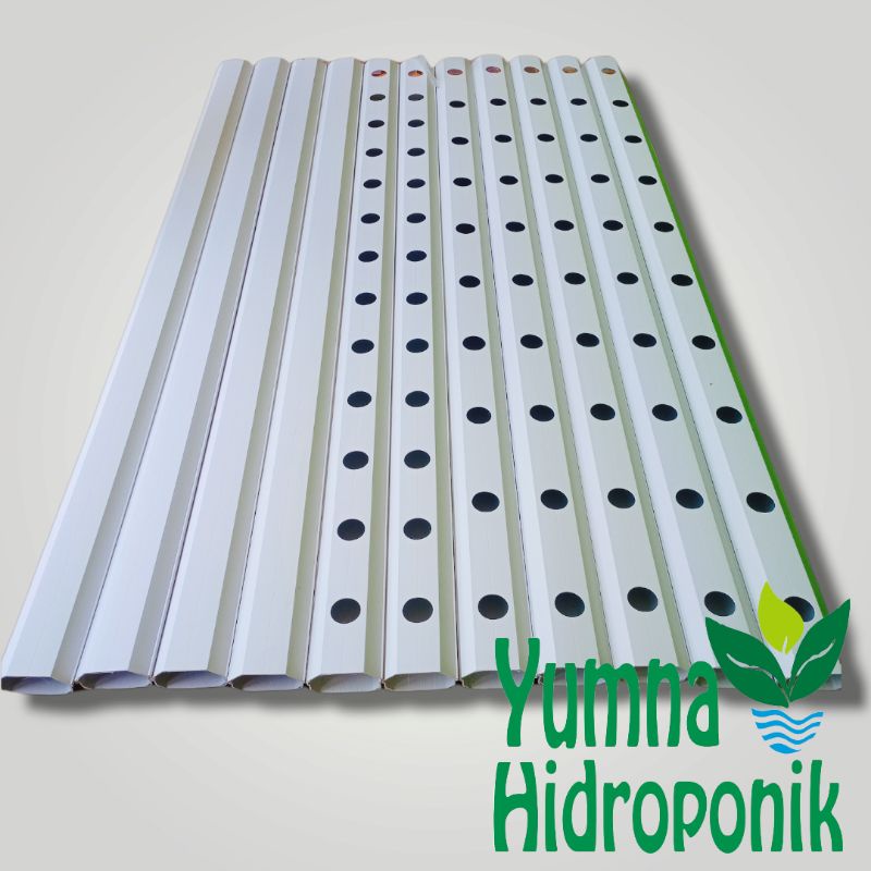 Jual Gully Trapesium | Shopee Indonesia