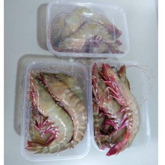 Jual PROMO UDANG BESAR SEGAR MURAH | Shopee Indonesia