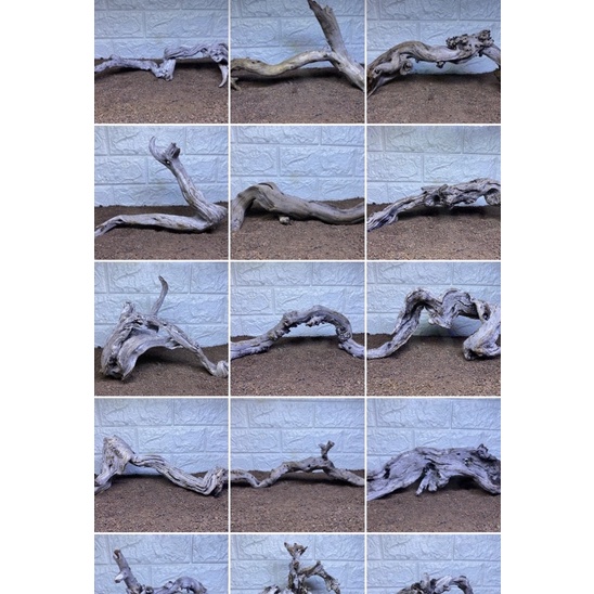 Jual kayu santigi akar sentigi kayu tenggelam hardscape sentigi hiasan ...