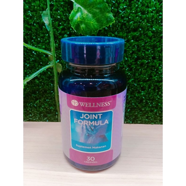 Jual Wellness Joint Formula 30 Kapsul | Shopee Indonesia