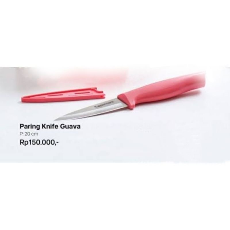 Jual Pisau Tupperware Paring Knife Peach (1 pcs) | Shopee Indonesia