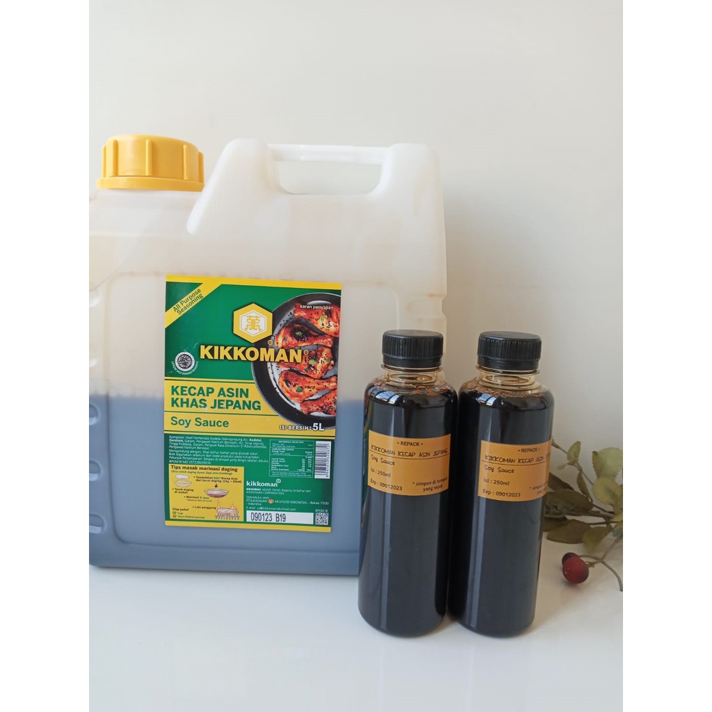 Jual Kikkoman kecap asin jepang / soy sauce / shoyu kemasan rep 250 ml ...