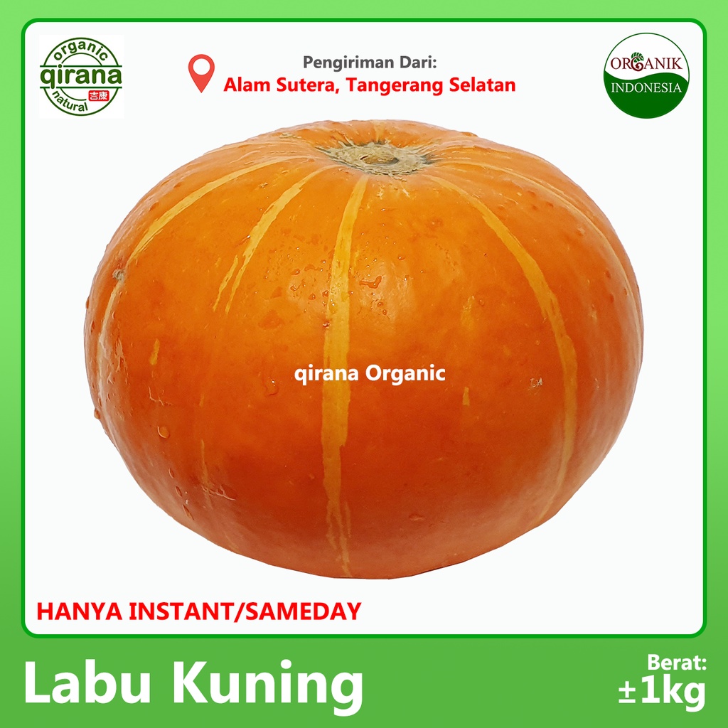 Jual Labu Kabuca Kuning 1kg | Shopee Indonesia