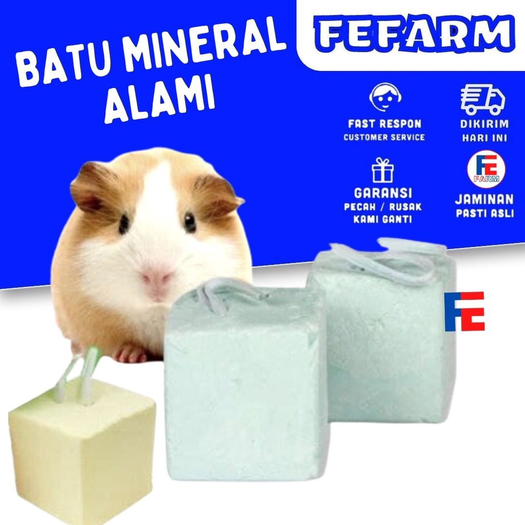 Jual Gnawing Stone Hamster Batu Mineral Gigitan Hamster Sugar Glider ...