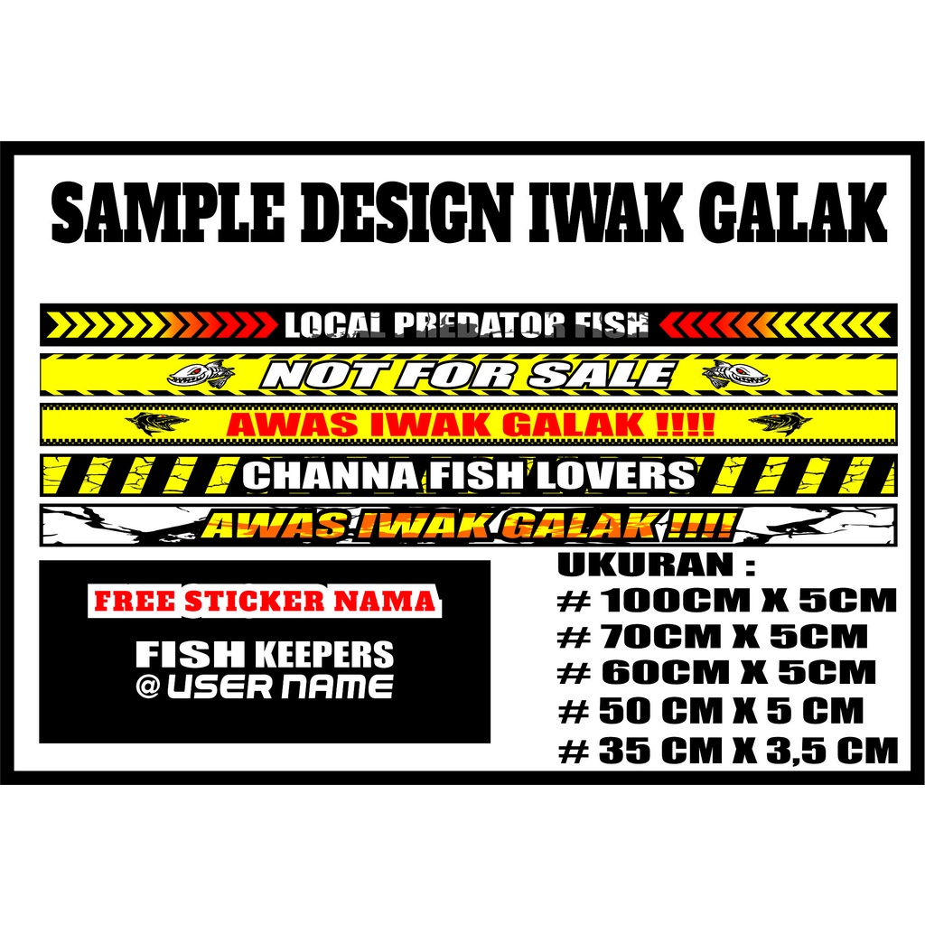 Jual Stiker Aquarium Predator Ikan Channa Arwana Belakang Hitam Iwak ...