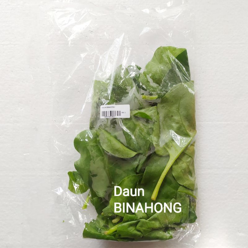 Jual DAUN BINAHONG SEGAR FRESH PENYEMBUH LUKA / PERADANGAN DENPASAR ...