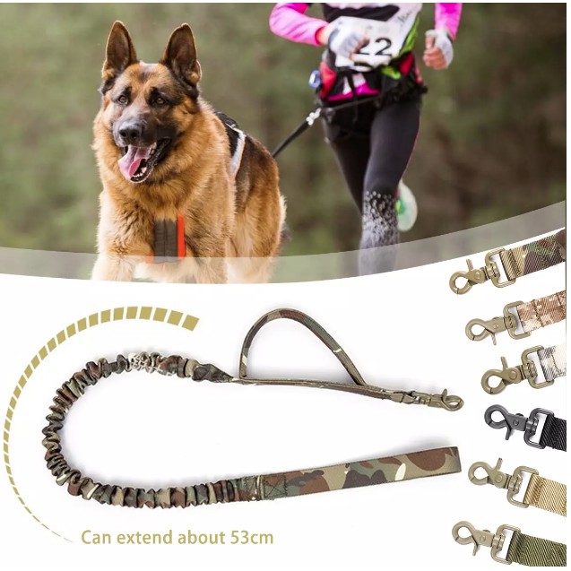 Jual Heavy Duty Military Tactical Dog Leash Tali Anjing with Handle ...
