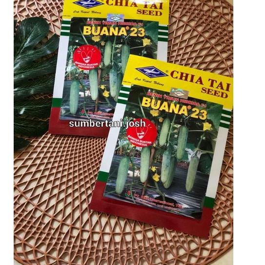 Jual Terbagus.. Benih Timun Hibrida F1 BUANA 23 - 20 Gram Cap Kapal ...