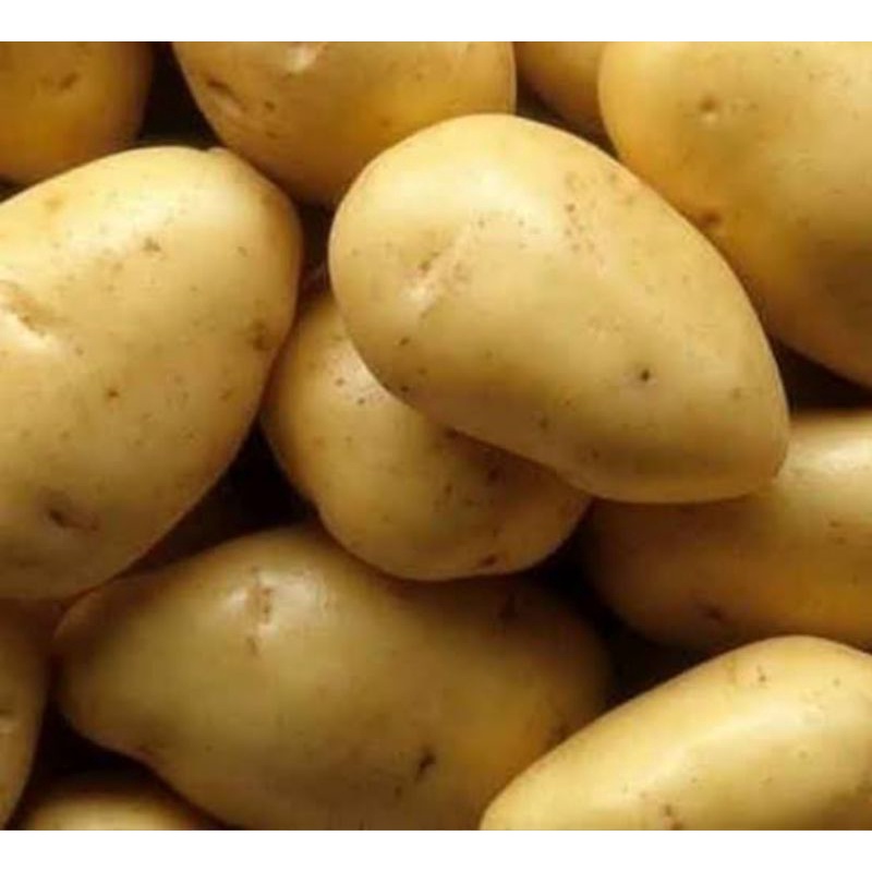 Jual kentang super 1kg | Shopee Indonesia