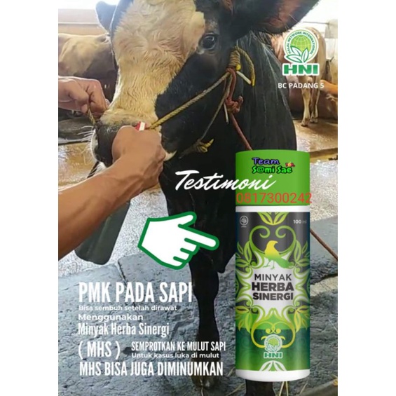 Jual HNI Obat herbal tetes paling ampuh melawan PMK sangat aman untuk ...