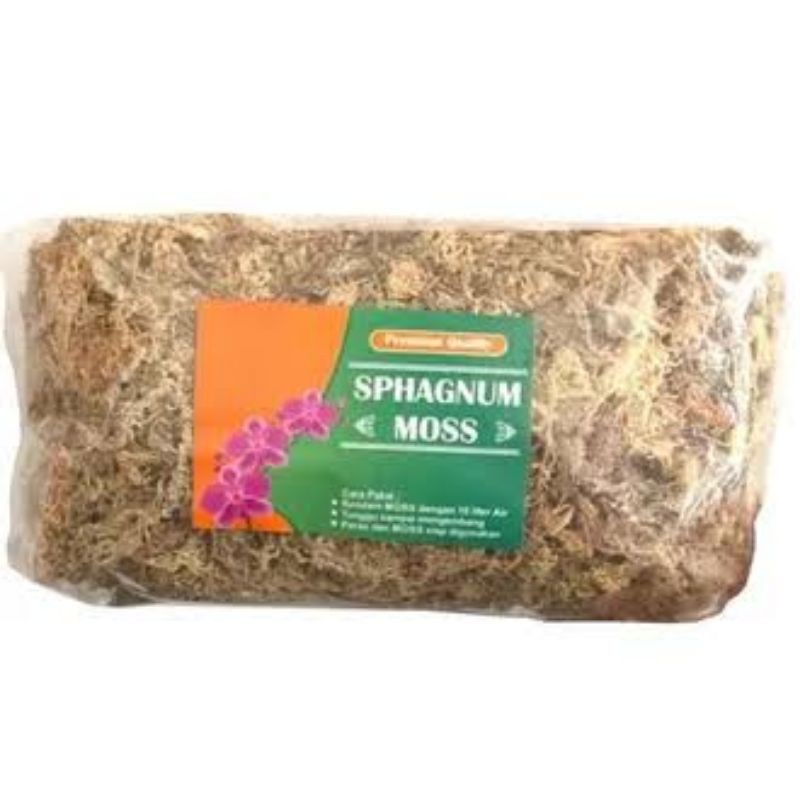 Jual Sphagnum Moss Chile - media tanam anggrek - Moss putih 100 gram ...