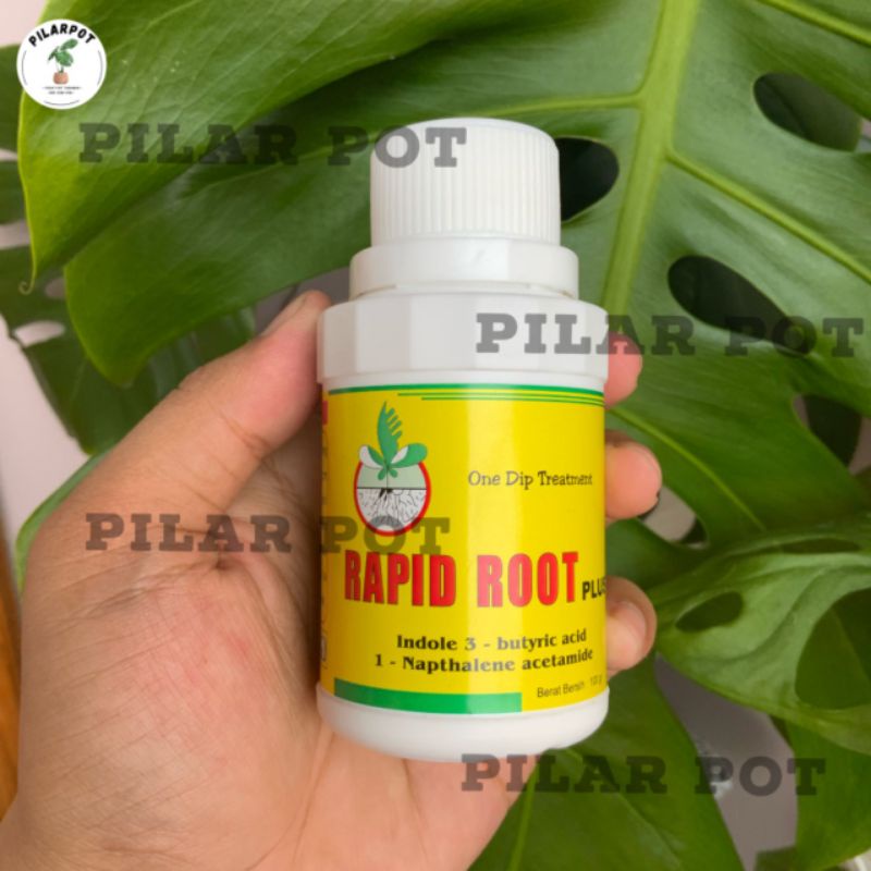 Jual RAPID ROOT 100GR hormon pertumbuhan akar dan merangsang akar -ZPT ...