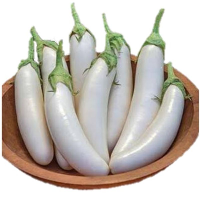 Jual 15 benih Terong putih,benih leunca terong ranti,terong ungu ...