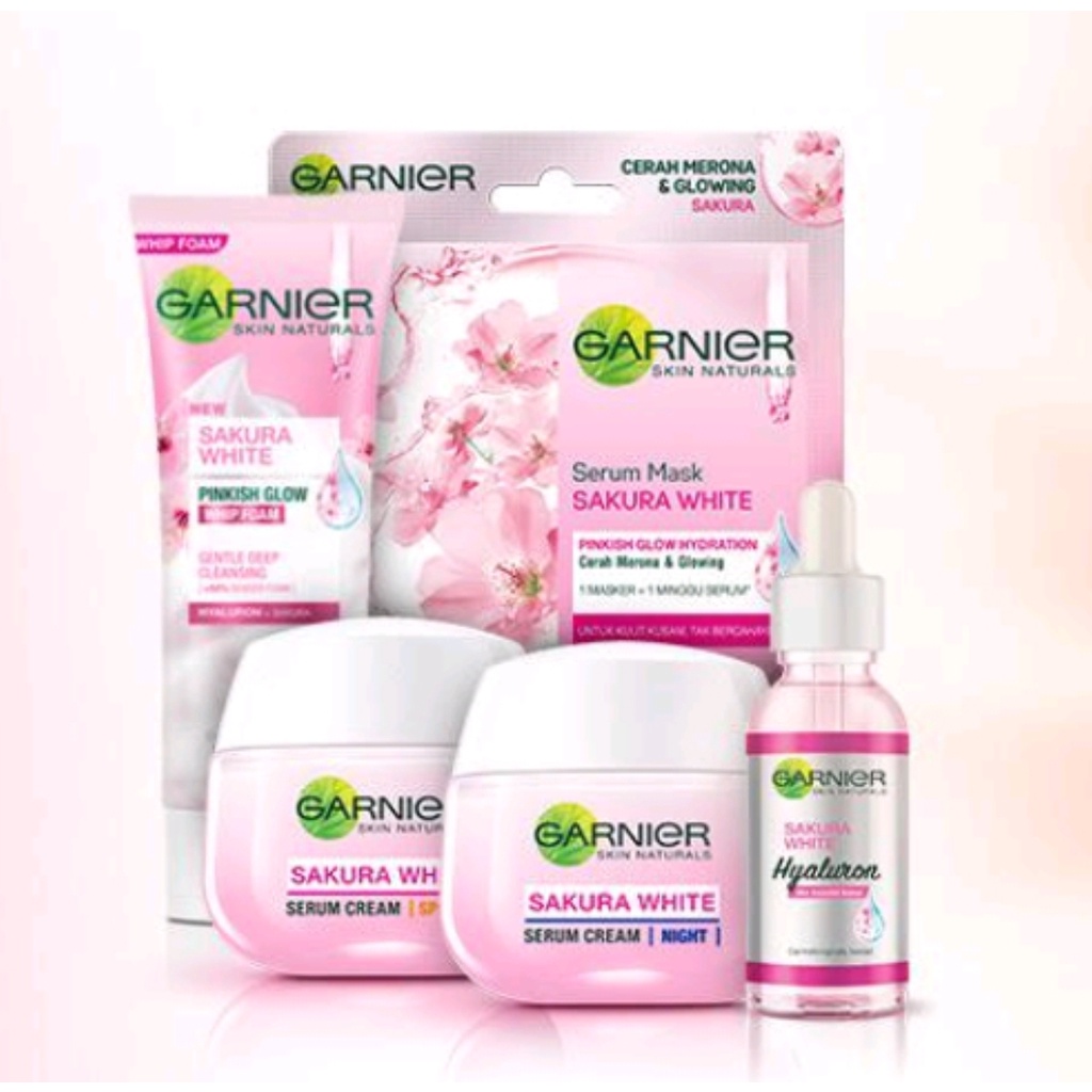Jual Paket Lengkap Garnier Sakura Isi 5pcs Foam 100ml + Day 50ml ...