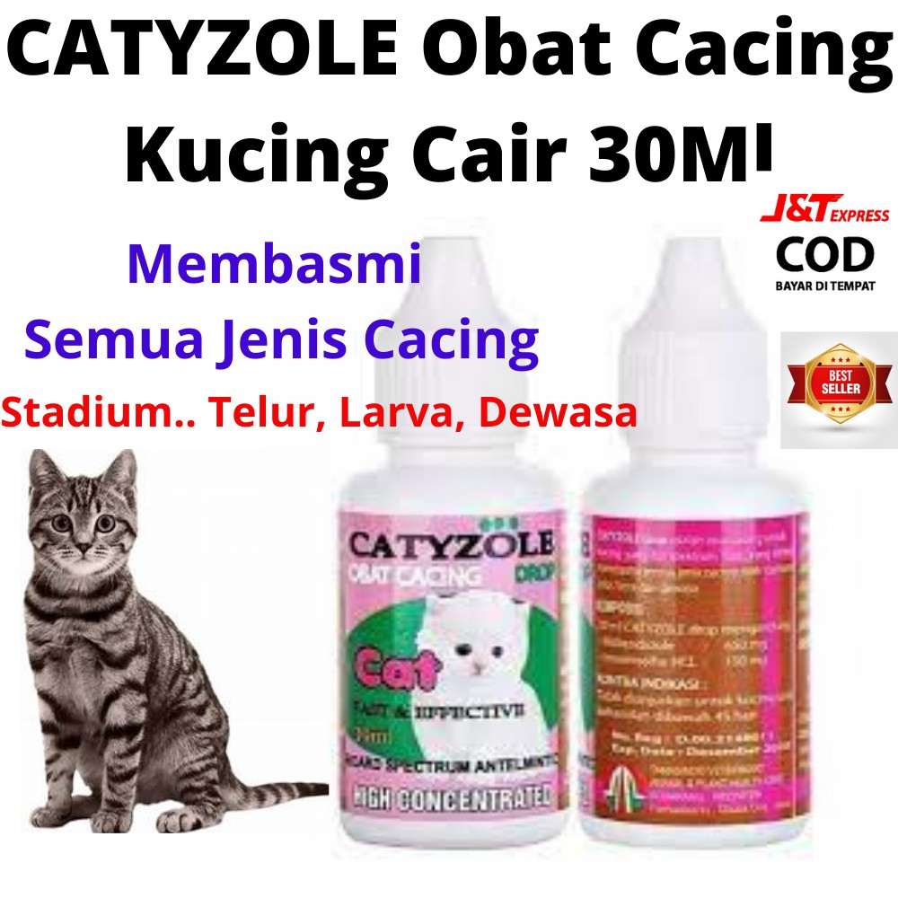 Jual CATYZOLE Obat Cacing Kucing Anti Cacingan Cair Untuk Kitten Dewasa ...