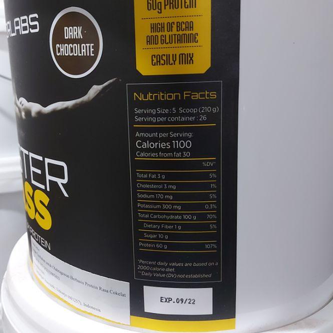 Jual VECTORLABS MASTER MASS GAINER 1 LBS 2 LBS ORIGINAL TRIAL SIZE SUSU ...