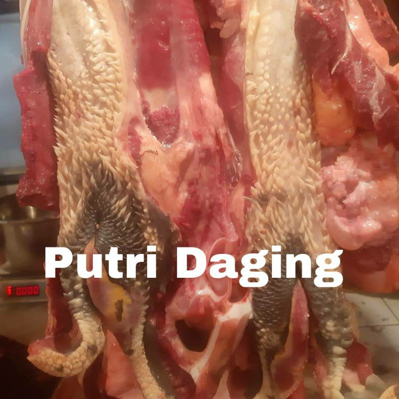 Jual Daging Kepala Sapi(Cingur) | Shopee Indonesia