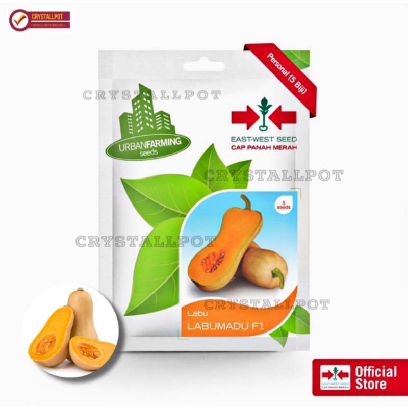 Jual benih bibit labu madu f1 cap panah merah - LABU MADU F1 | Shopee ...