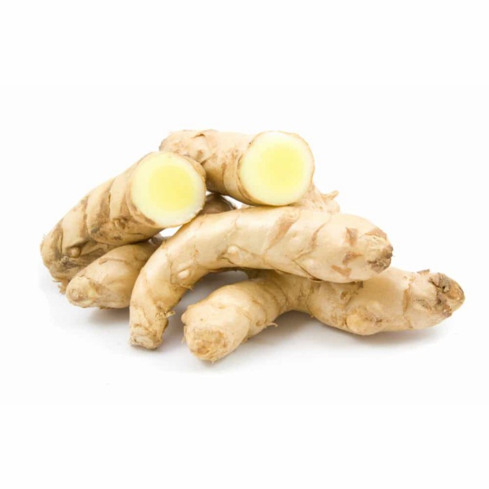 Jual Kunyit Putih Kunir Segar Fresh White Turmeric Rempah Herbal Empon ...