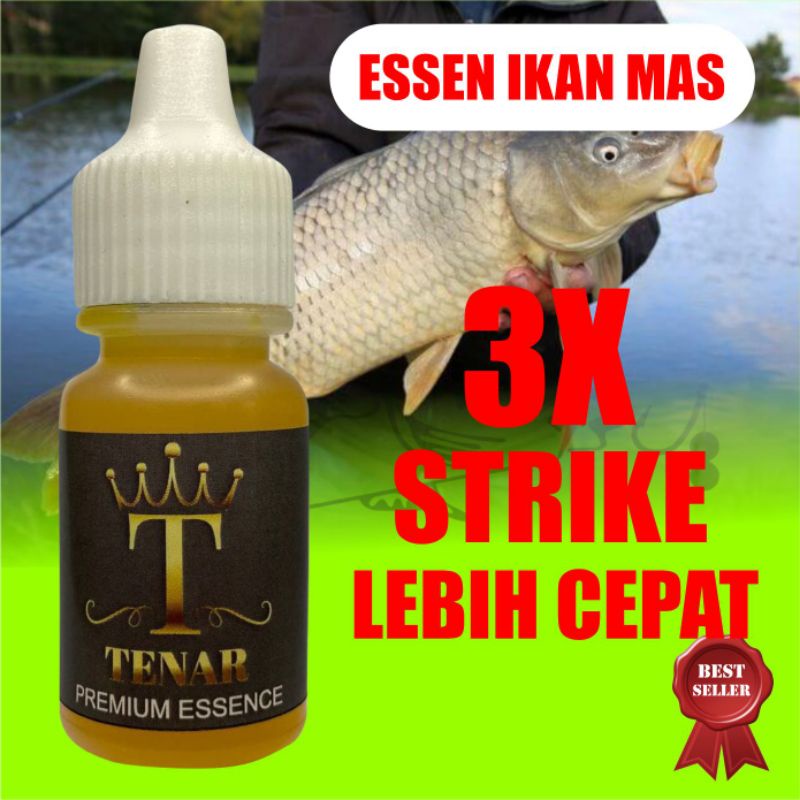 Jual essen ikan mas tenar premium essen paling bagus ikan rame dan babon induk harian kilo ...