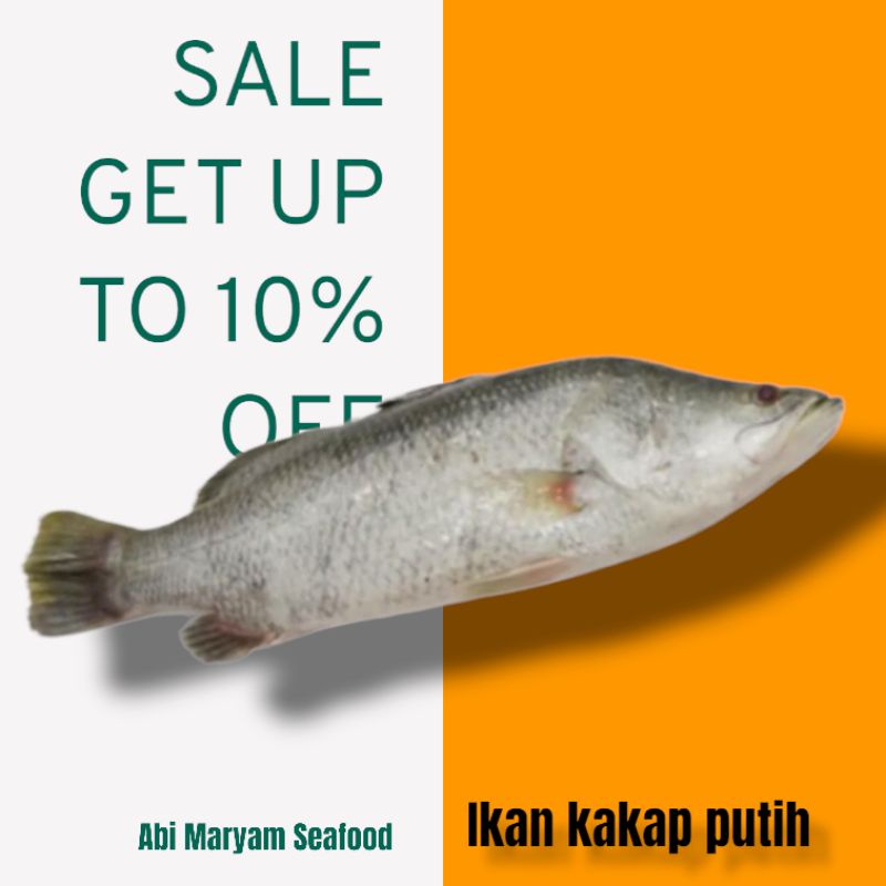 Jual Ikan Kakap Putih Baramundi fresh Berkualitas 1 kg | Shopee Indonesia