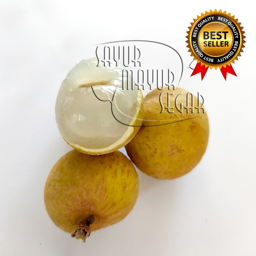 Jual KIRIM INSTAN KELENGKENG GOLD / BUAH KELENGKENG EMAS SEGAR DAN ...