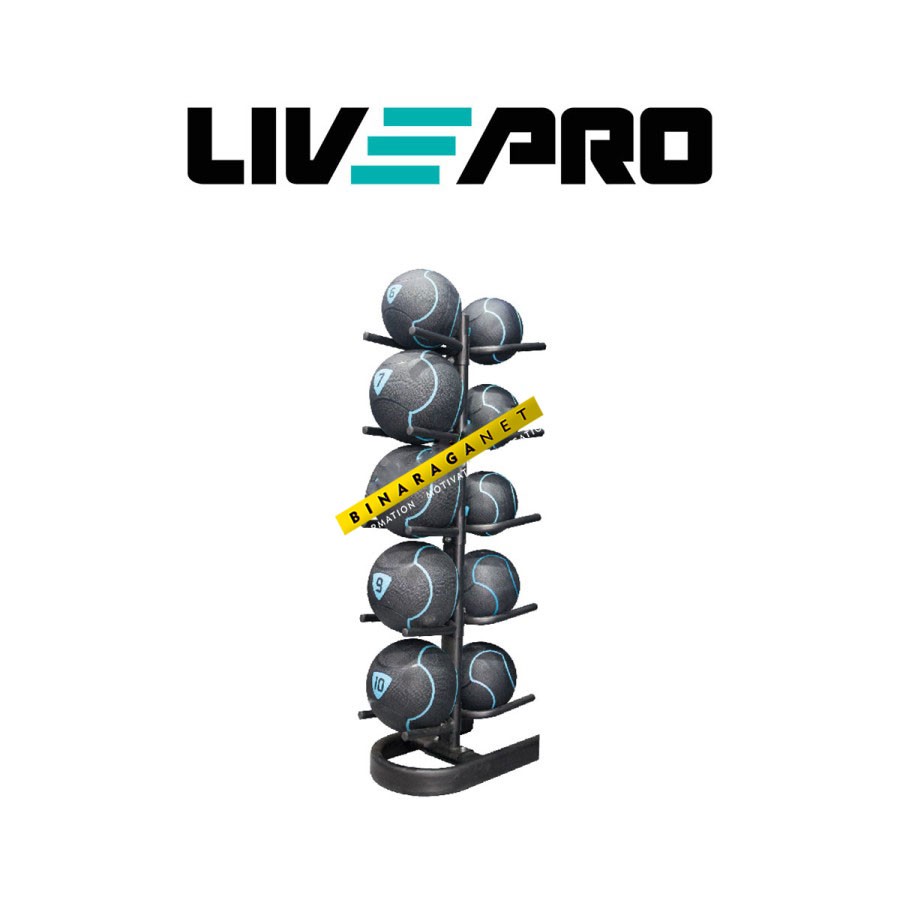 Jual Medicine Wall Slam Ball Rack Rak 10 Bola Fitness Gym Livepro ...