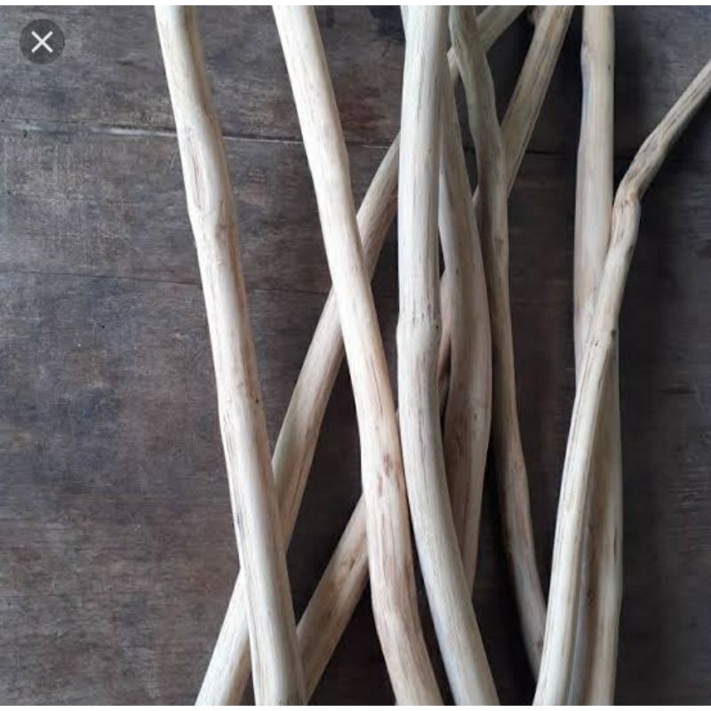 Jual Ranting pohon kayu jati bahan dekorasi | Shopee Indonesia