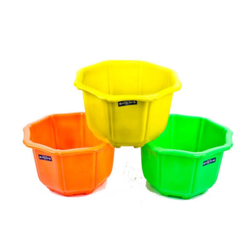 Jual Pot Segi 6 Mini vas Tanaman Hias benih bibit bunga kaktus anggrek ...