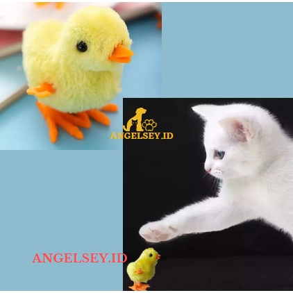 Jual Wind Up Chicken Wind Up Hopping Funny Bird Toy 8cm Chick Animal ...