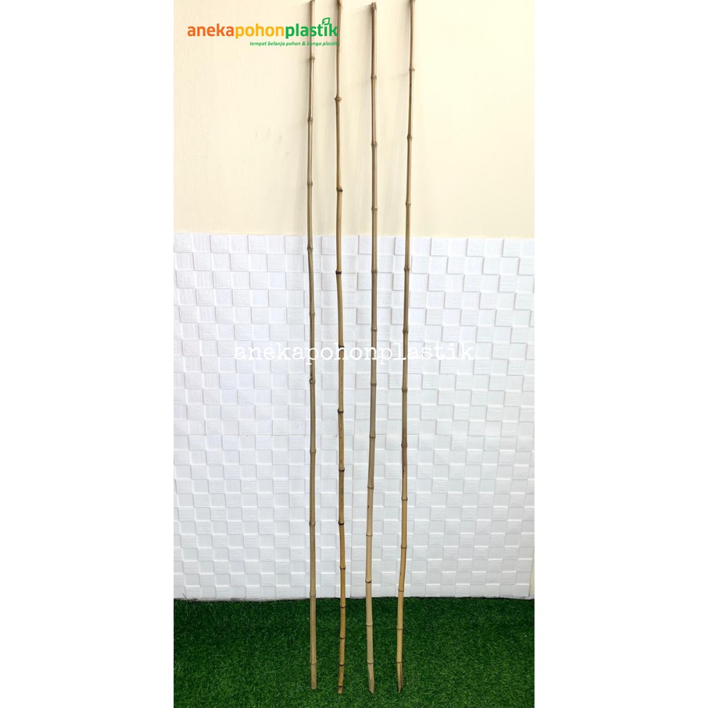 Jual 4pcs Batang Bambu Cendani Ornamen Lurus 150-170cm | Shopee Indonesia