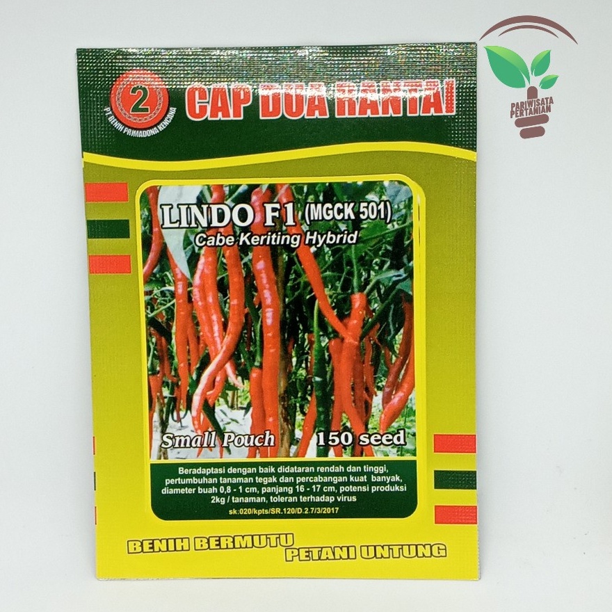 Jual benih bibit cabai cabe lombok kriting hibrida lindo F1 unggulan ...