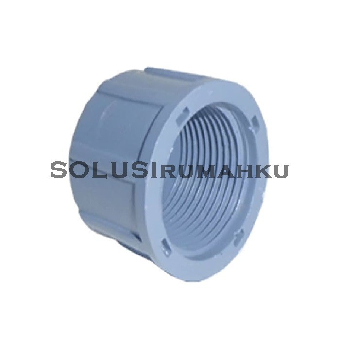 Jual Dop Drat Dalam PVC 1" Cap Tutup Ujung Pipa 1 Inch In | Shopee ...